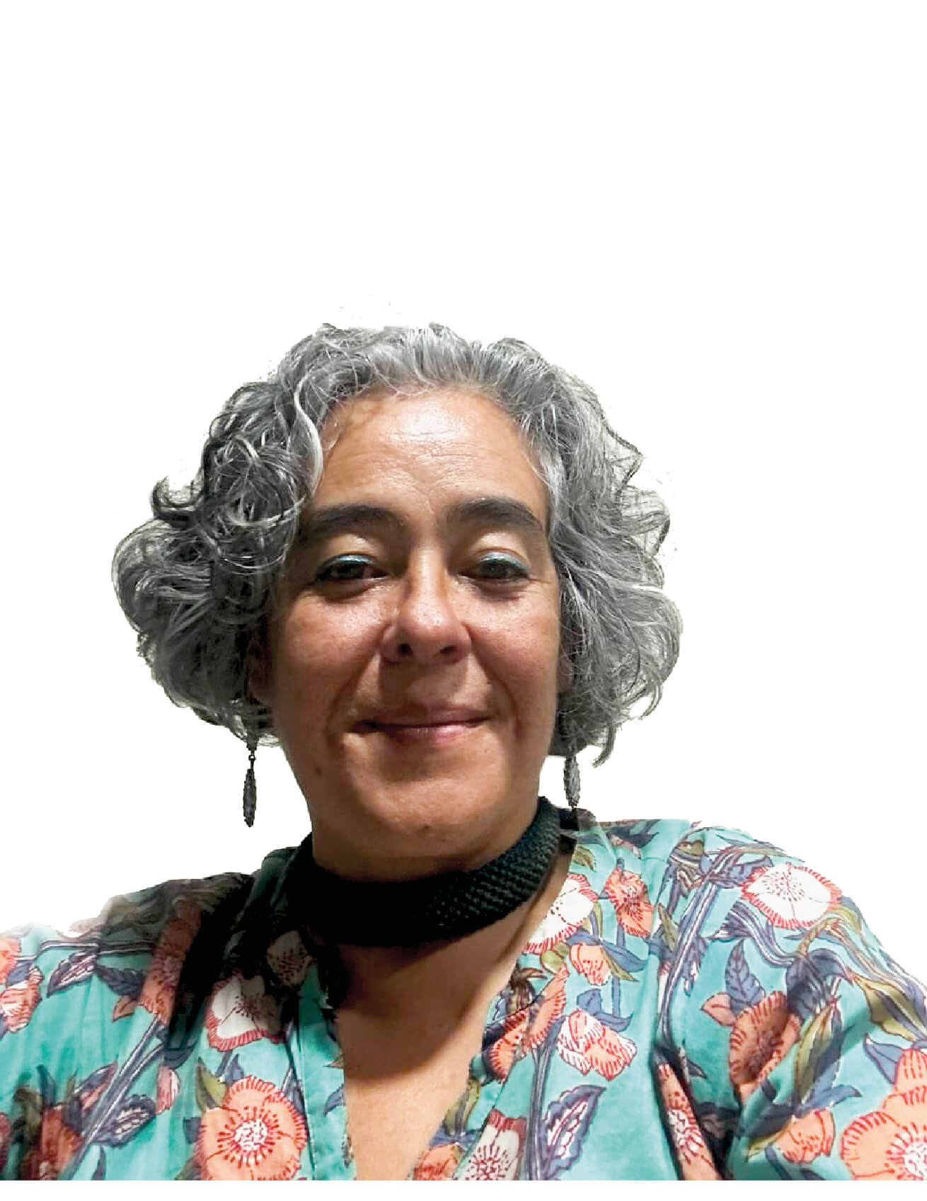 Insabana – Desarrollo Territorial Sostenible